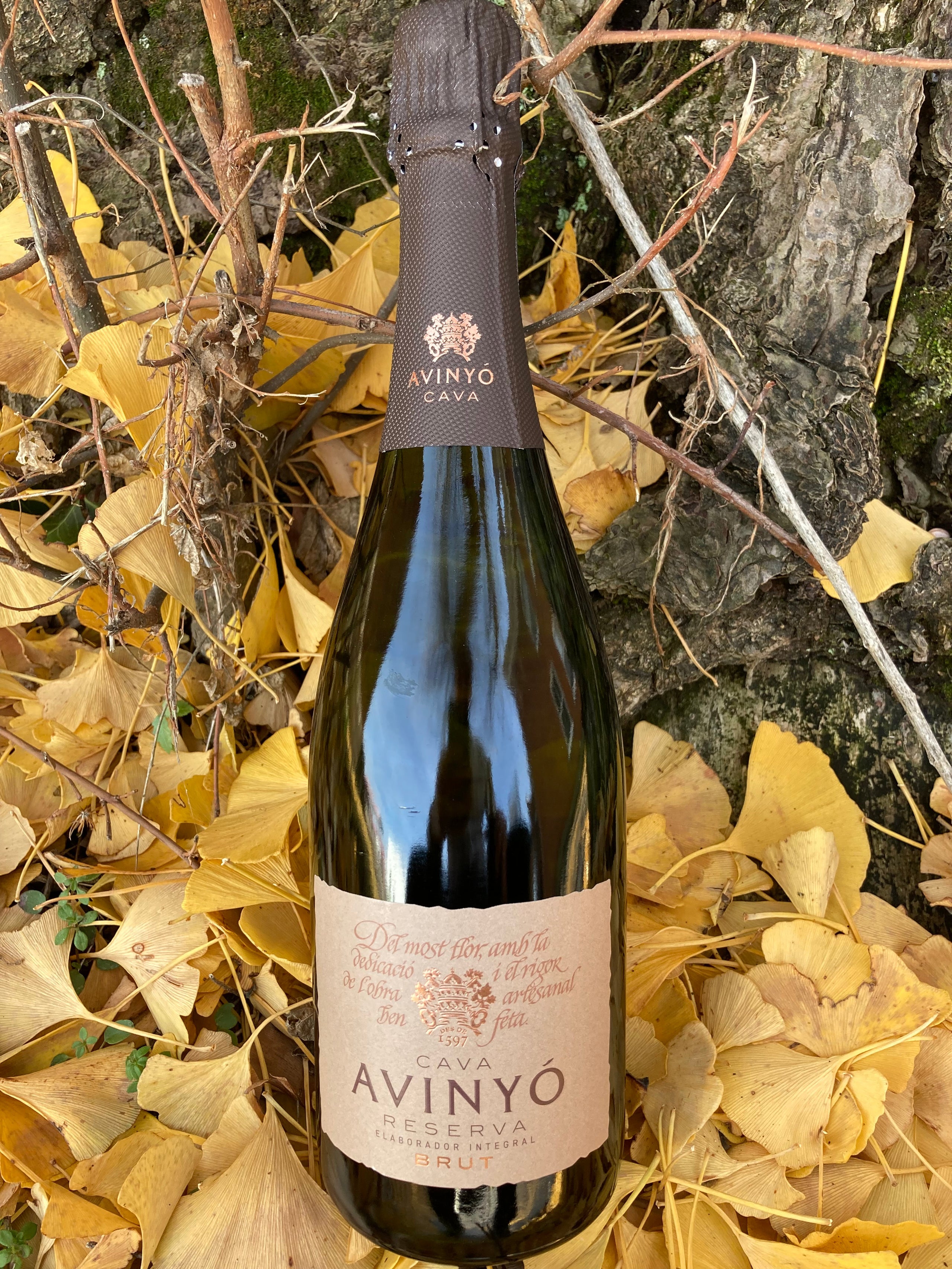 Avinyo Cava Reserva Brut | Cork & Rind